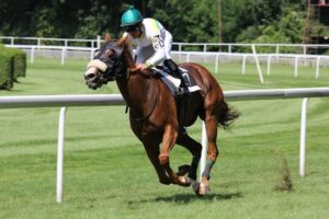 Jockey Training Regimens and Their Secrets | JOCKEYS
